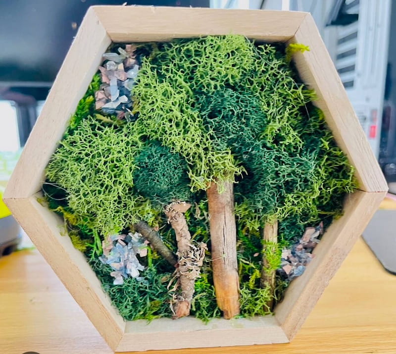 Moss Boards - Art Room 509