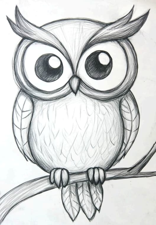 Kids Drawing Basics, Ages 8-12 - Art Room 509
